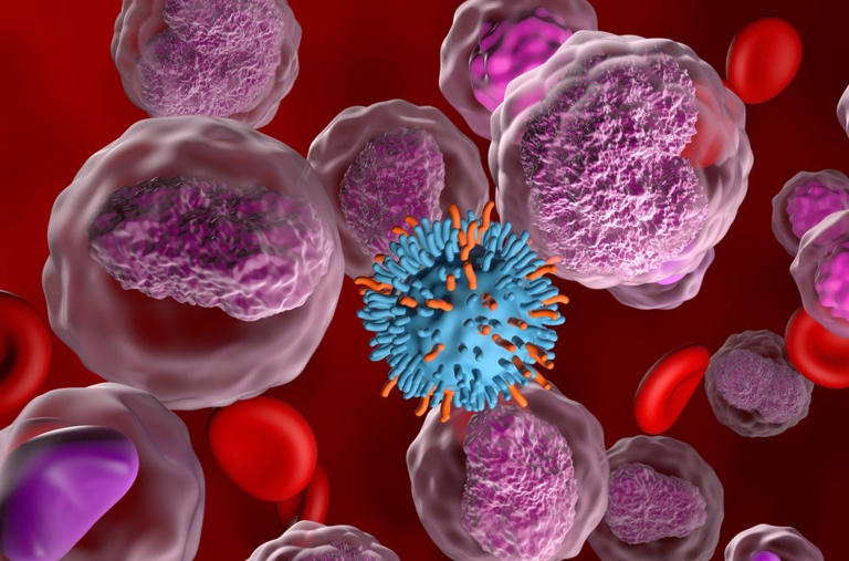 ASCO26: In vivo oncology approaches continue to show promise