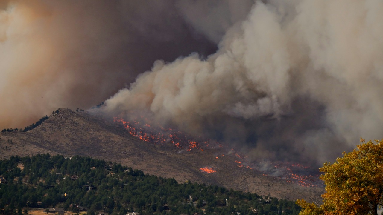 Wildfire damage above 7,000 feet in California’s Sierra and Mono County ...