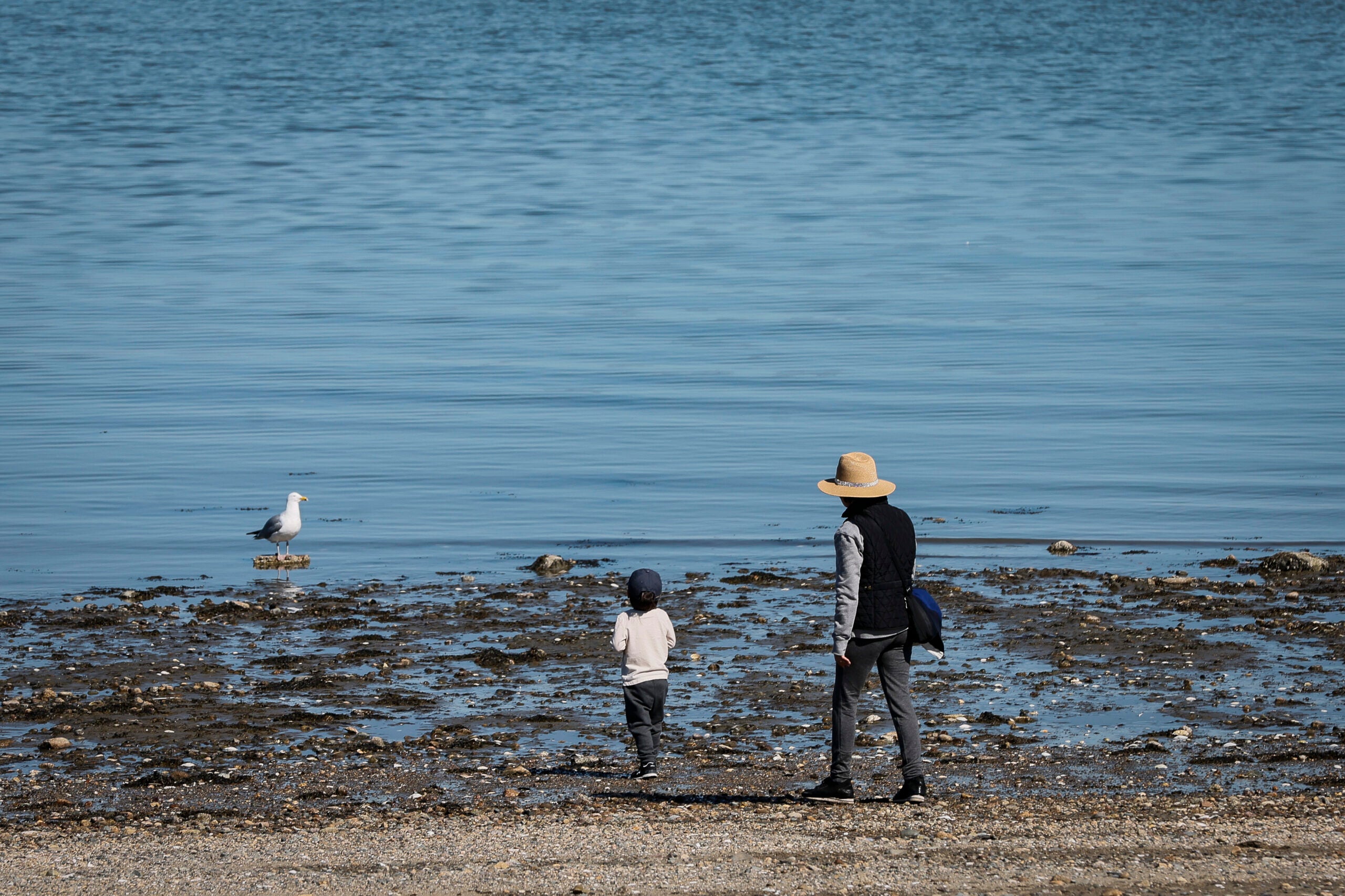 As the weather heats up again, here are the Mass. beaches closed Tuesday