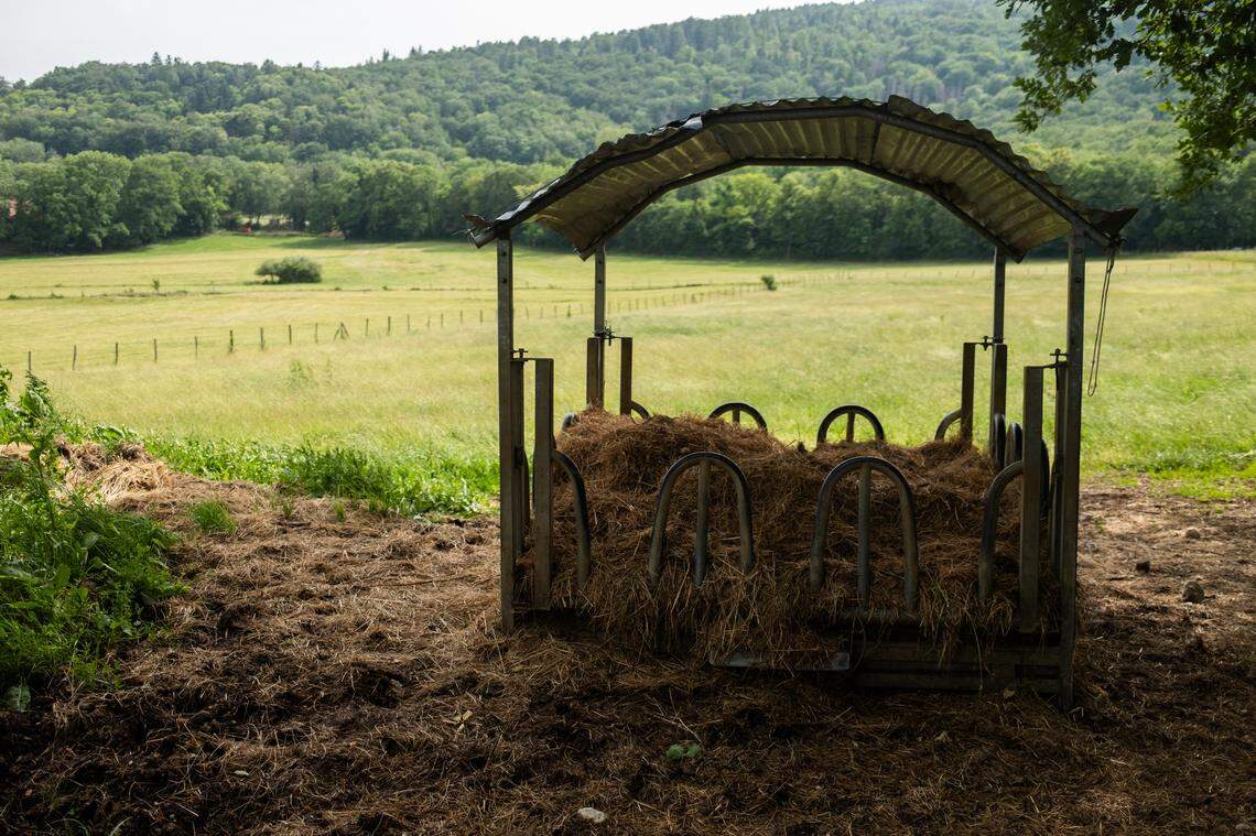 Heritage grains, heritage meats: The 6 sourcing stories worth knowing ...