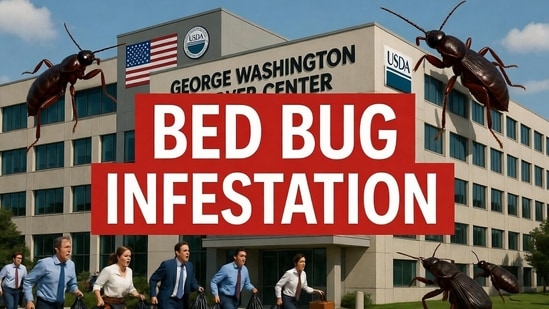Bed bugs invade Trump's USDA office; White House forces staff back ...