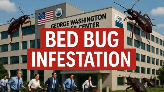 Bed bugs invade Trump's USDA office; White House forces staff back ...