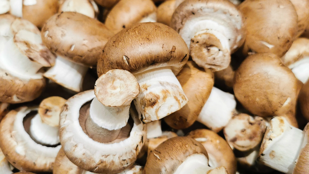 Why mushroom coffee is taking over mornings