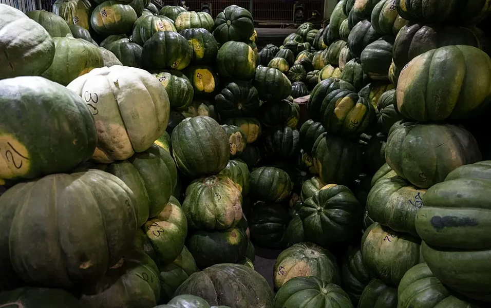 Pumpkin cooking tips every fall foodie needs
