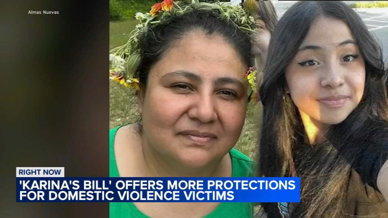 Man accused of killing wife, daughter in Little Village shooting that ...