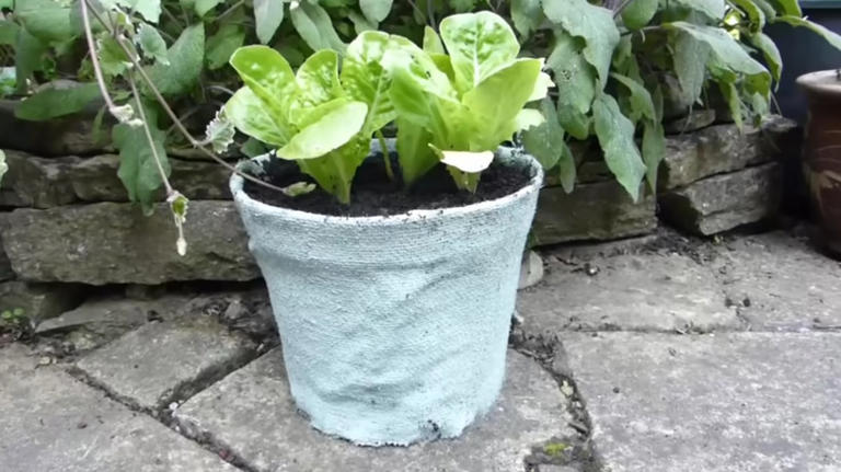 Don't toss old nursery pots: Give it a budget-friendly upgrade with ...