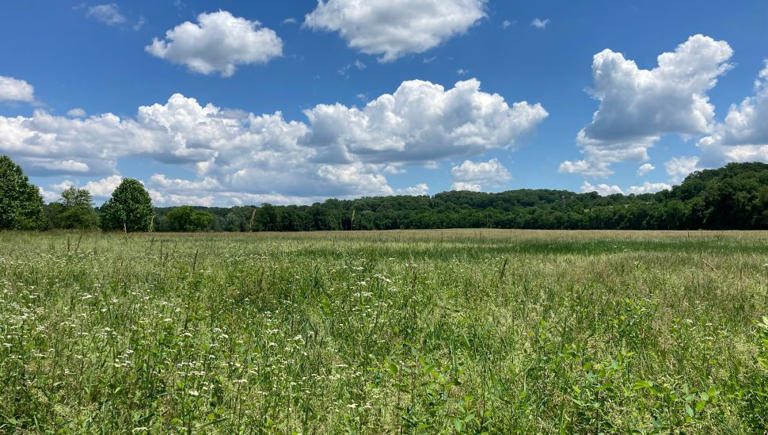Chester County gardens, trails, and outdoor spaces worth exploring this ...