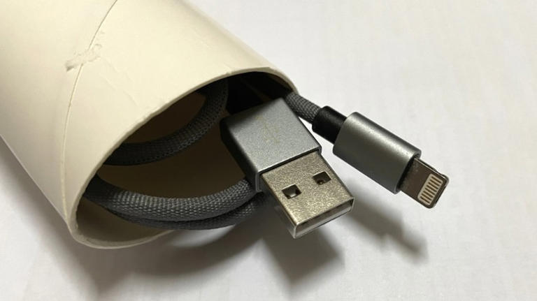 Don't toss toilet paper tubes when you could be using them around the ...