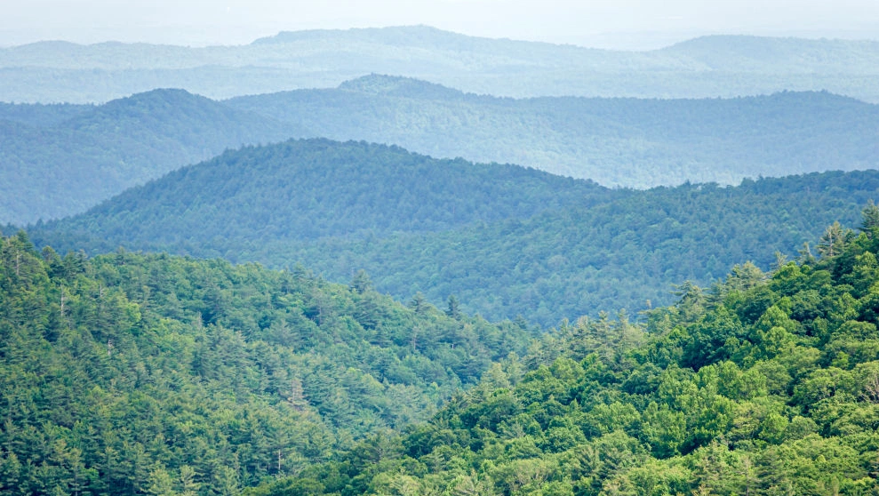 Georgia state parks perfect for camping adventures
