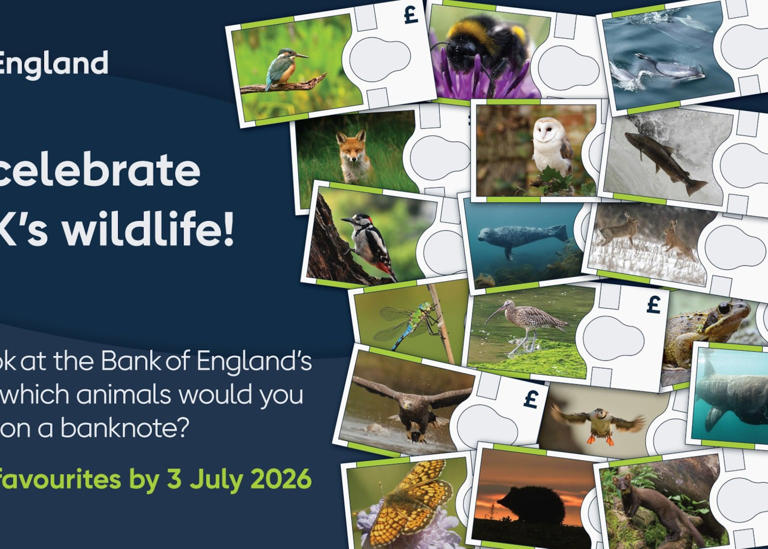 Bank of England reveals which animals could feature on its new-look ...