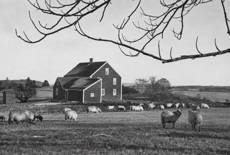 A Texas shoe tycoon’s farm on a Maine island lists for $14.5 million