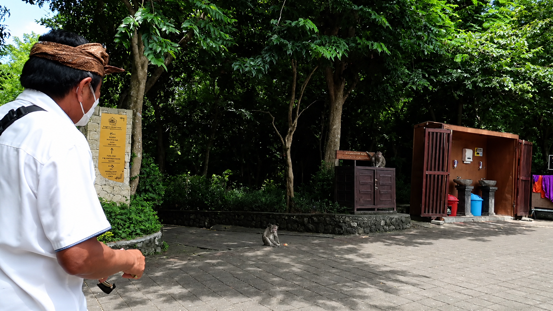 Can you survive the monkeys at Uluwatu Temple