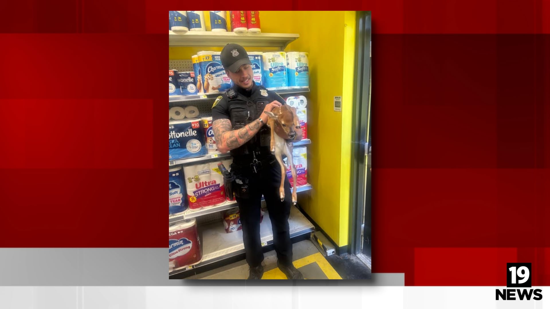 'Oh deer!': Fawn escorted from Dollar General after trespassing call in ...