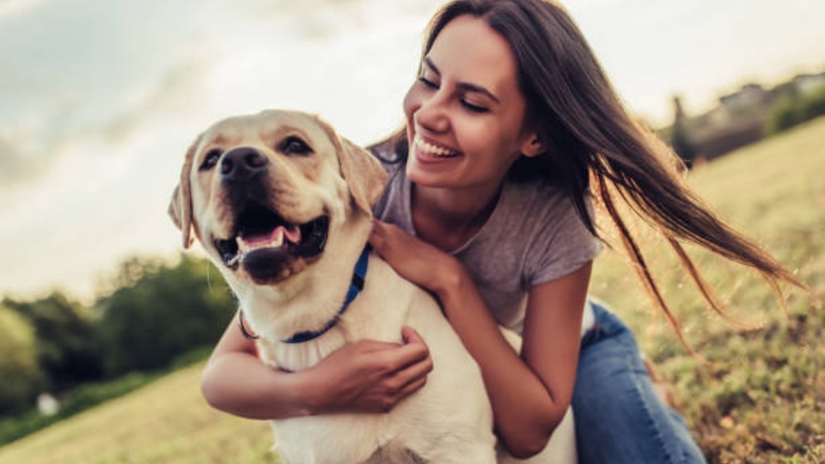 10 signs your dog is happier and healthier than you think, according to ...