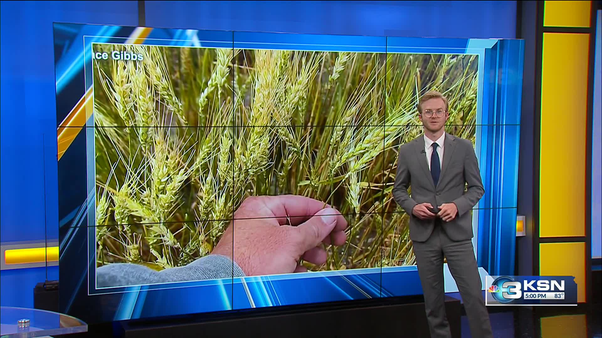 Western Kansas storms could hurt already bleak wheat projections