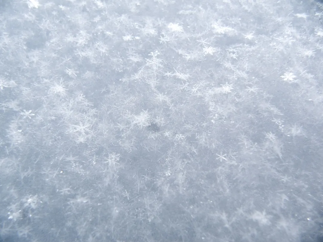 How heavy snowfall acts as a natural, insulating blanket for perennial ...
