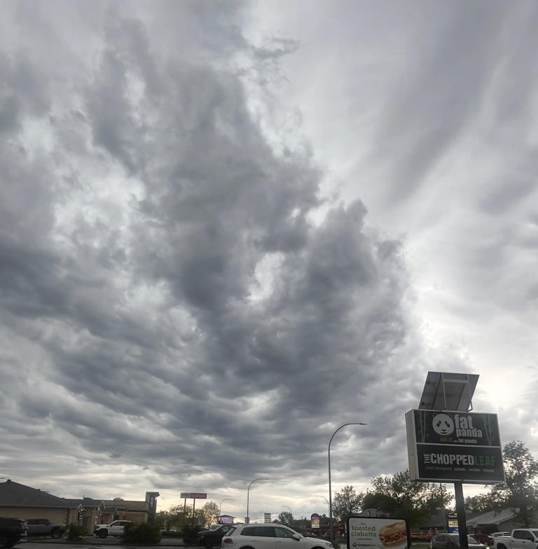 Environment Canada confirms at least 3 tornadoes touched down in ...