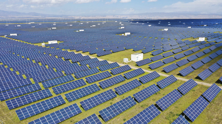 Solar panel farms in Tibet are having an unexpected effect on local ...