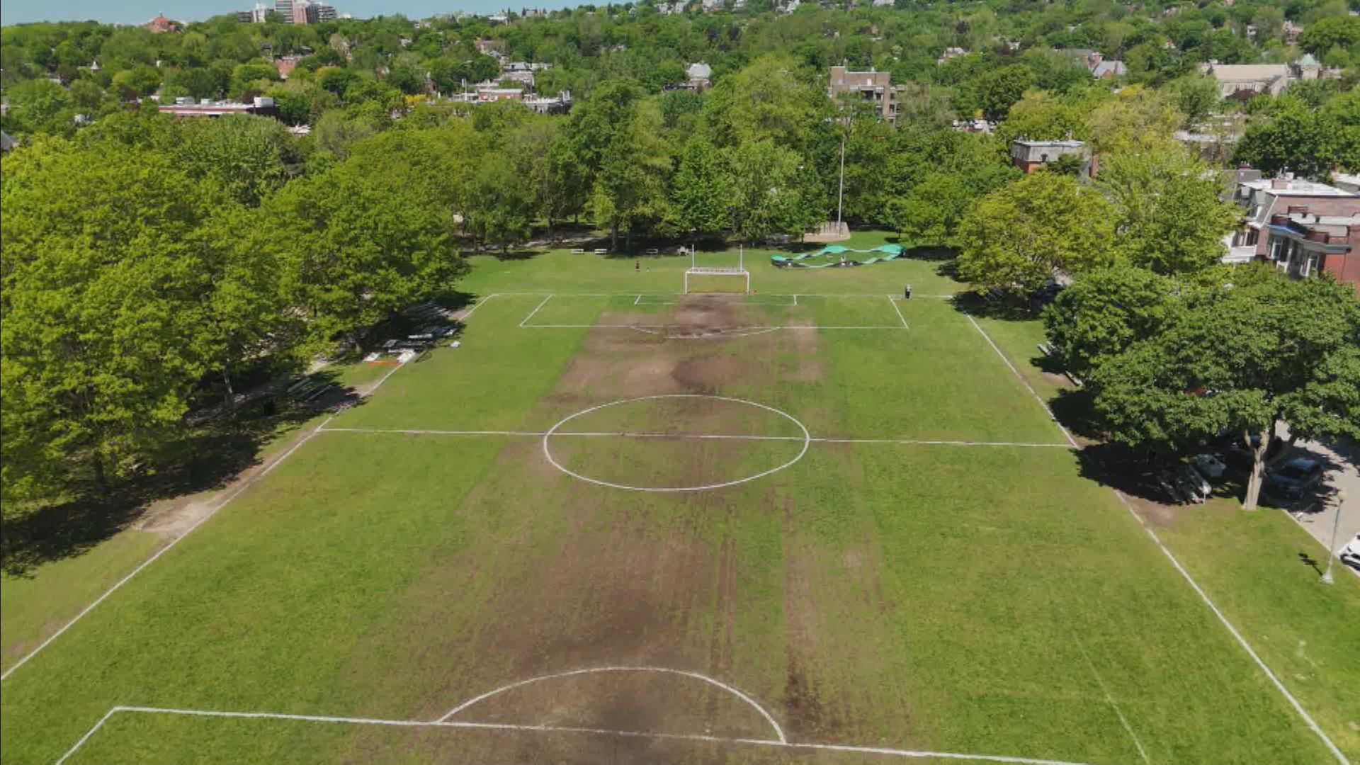 Westmount soccer enthusiasts calling for turf fields