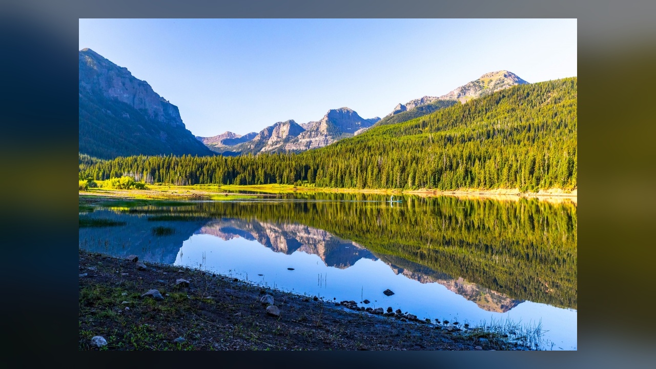 Montana’s Custer Gallatin forest has ancient insects locked in glacier ...