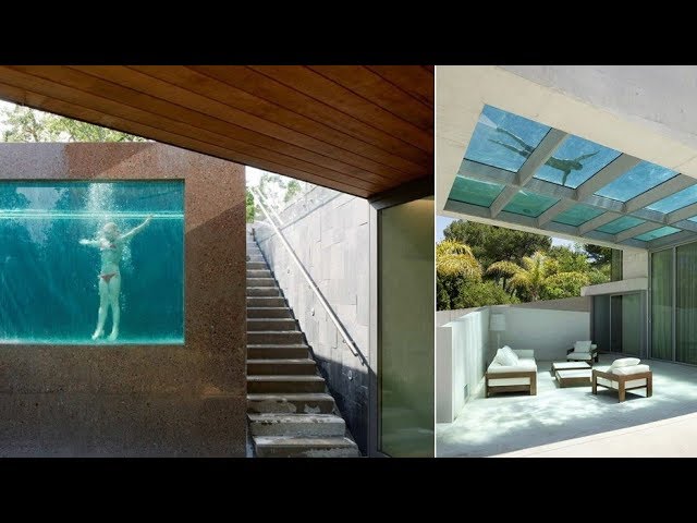 See-through swimming pools reveal a world full of surprises