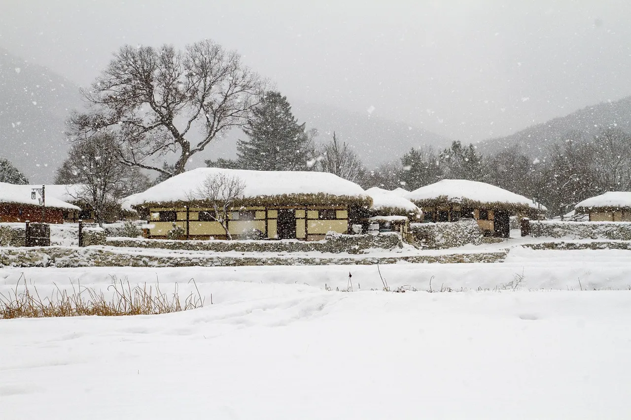 How heavy snowfall acts as a natural, insulating blanket for perennial ...