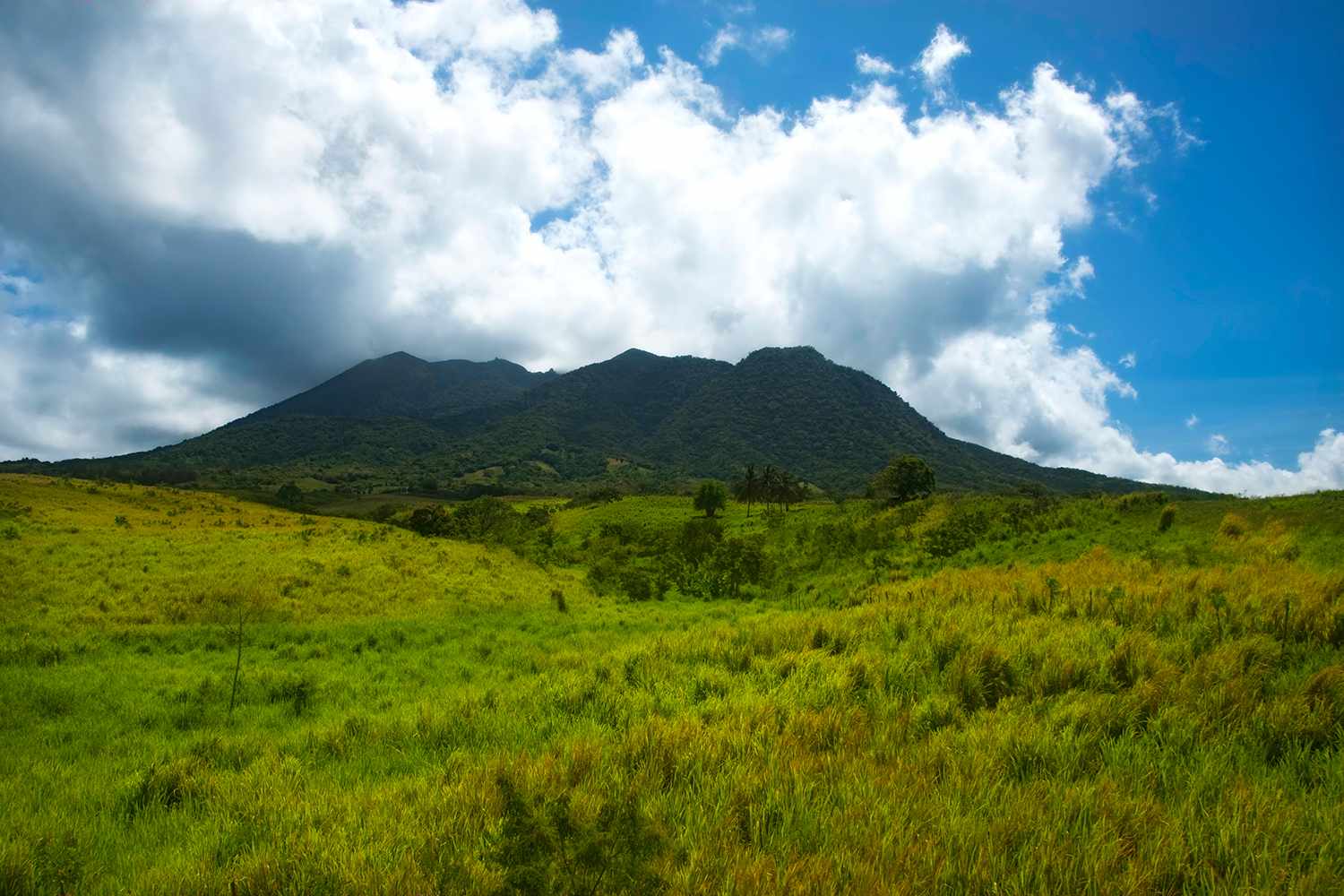 Missing cruise ship passenger found dead after hiking alone