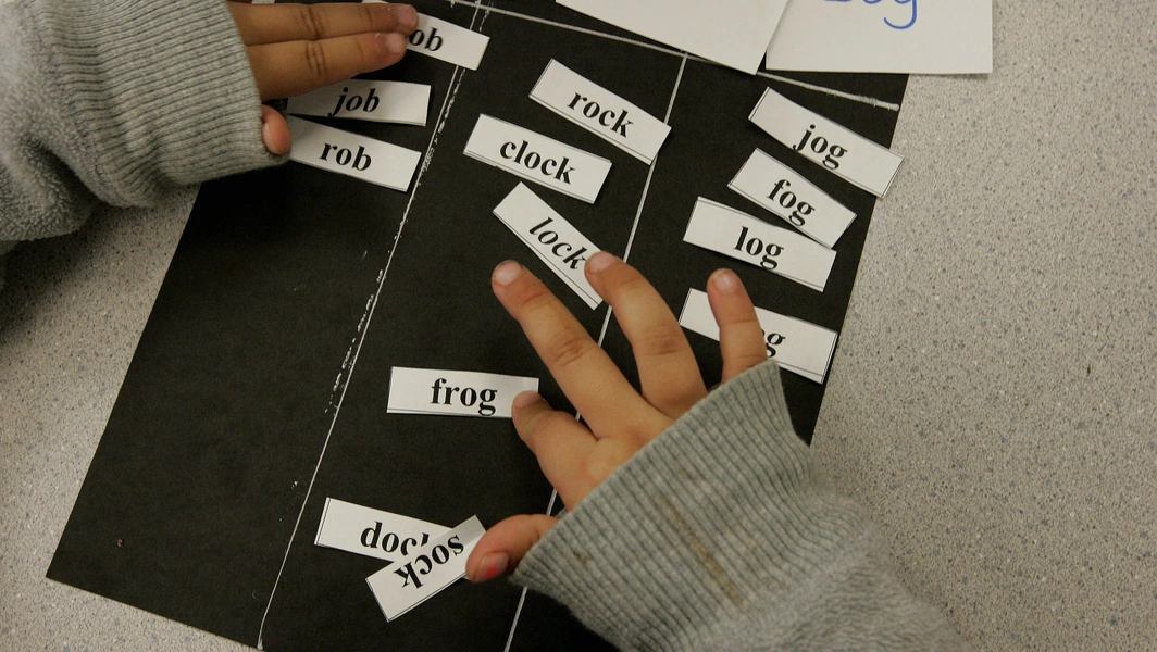 Educators clarify differences between sight and high-frequency words