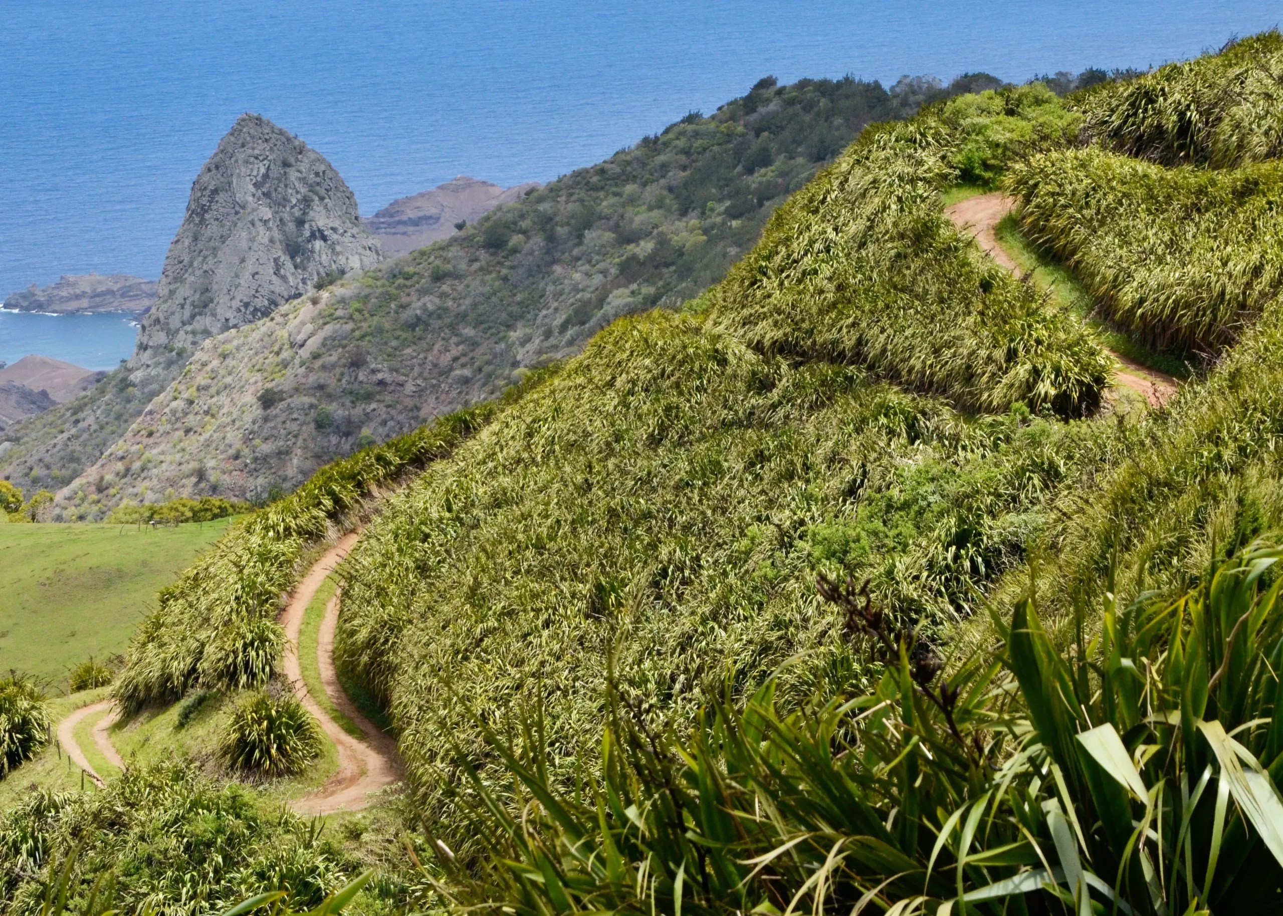 St Helena's famed Post Box Walks land on app