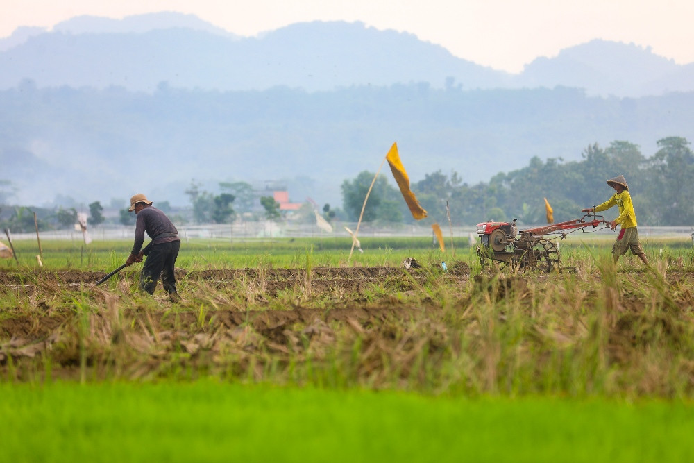 Petani sejahtera, karet dan sawit dongkrak NTP Sumsel ke level 141,54