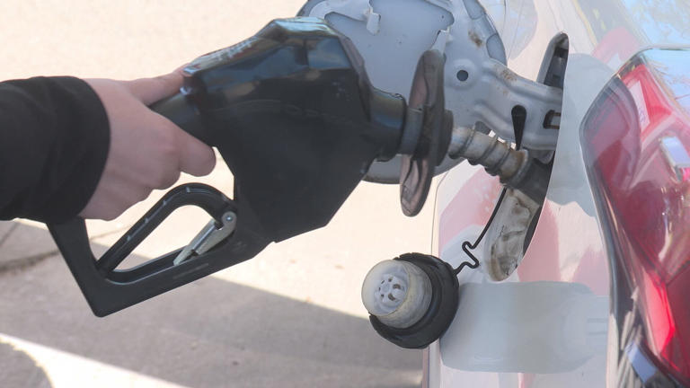 Gas prices going down, but vary widely due to several key factors