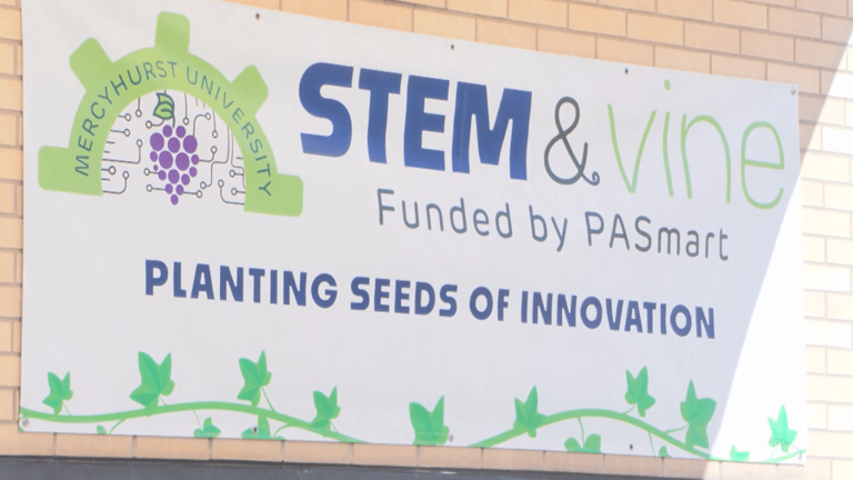 STEM and Vine program brings hands-on learning space to North East ...