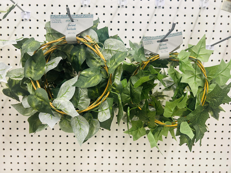 I found the prettiest Dollar Tree items for the naturemaxxing trend!