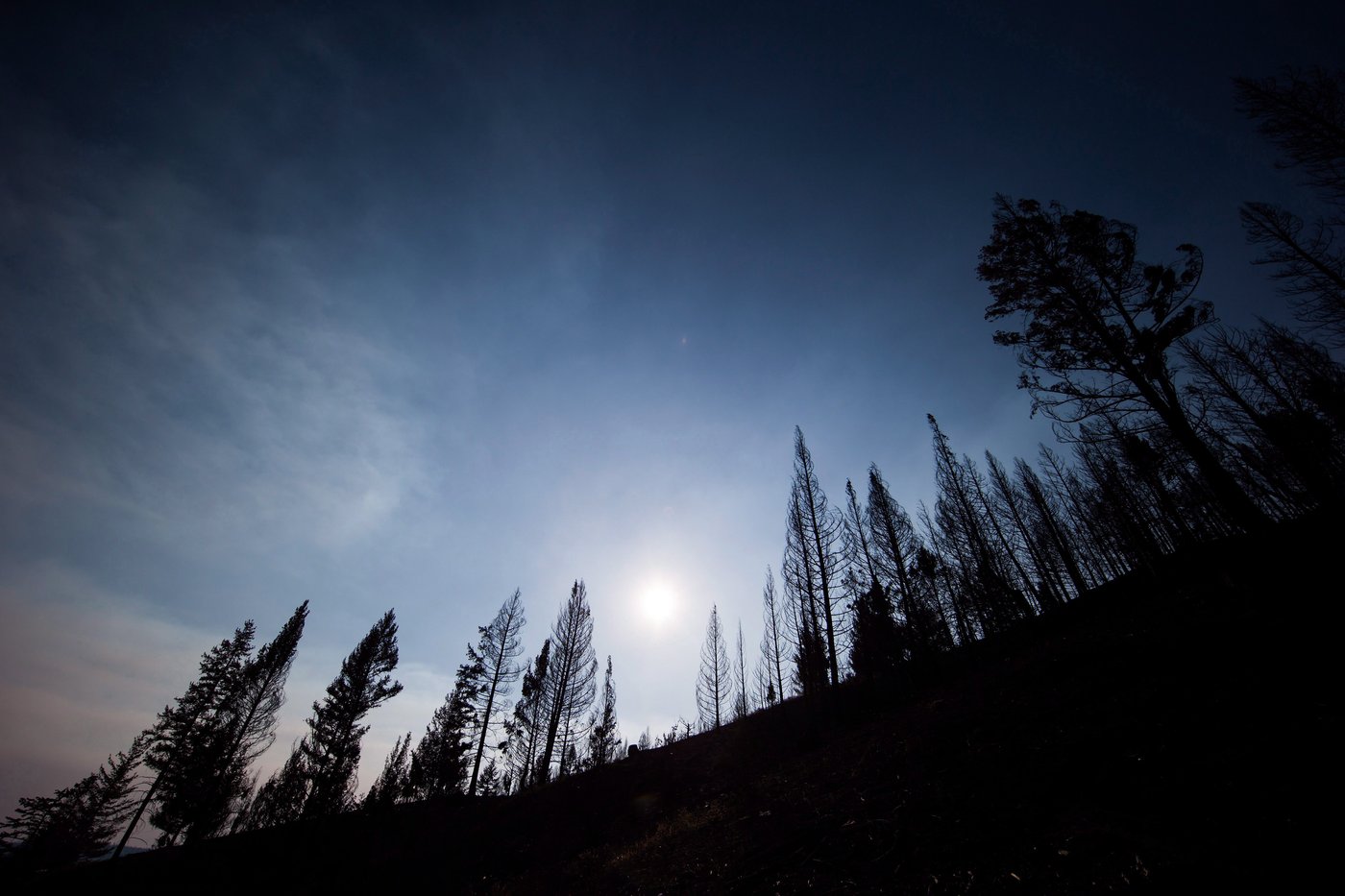 Wildfire in BC central interior prompts evacuation alert