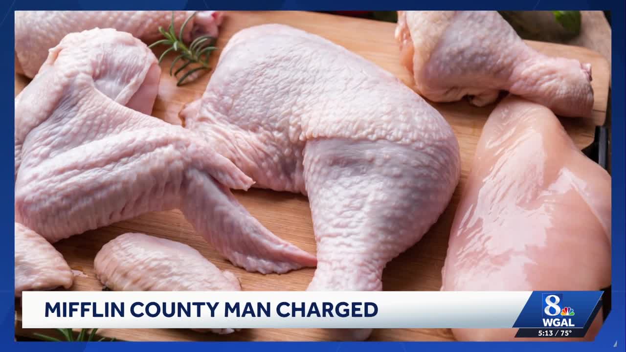 Mifflin Co. man charged after police say he smeared raw chicken on a ...