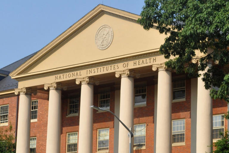Why two federal virus researchers just got arrested by the FBI