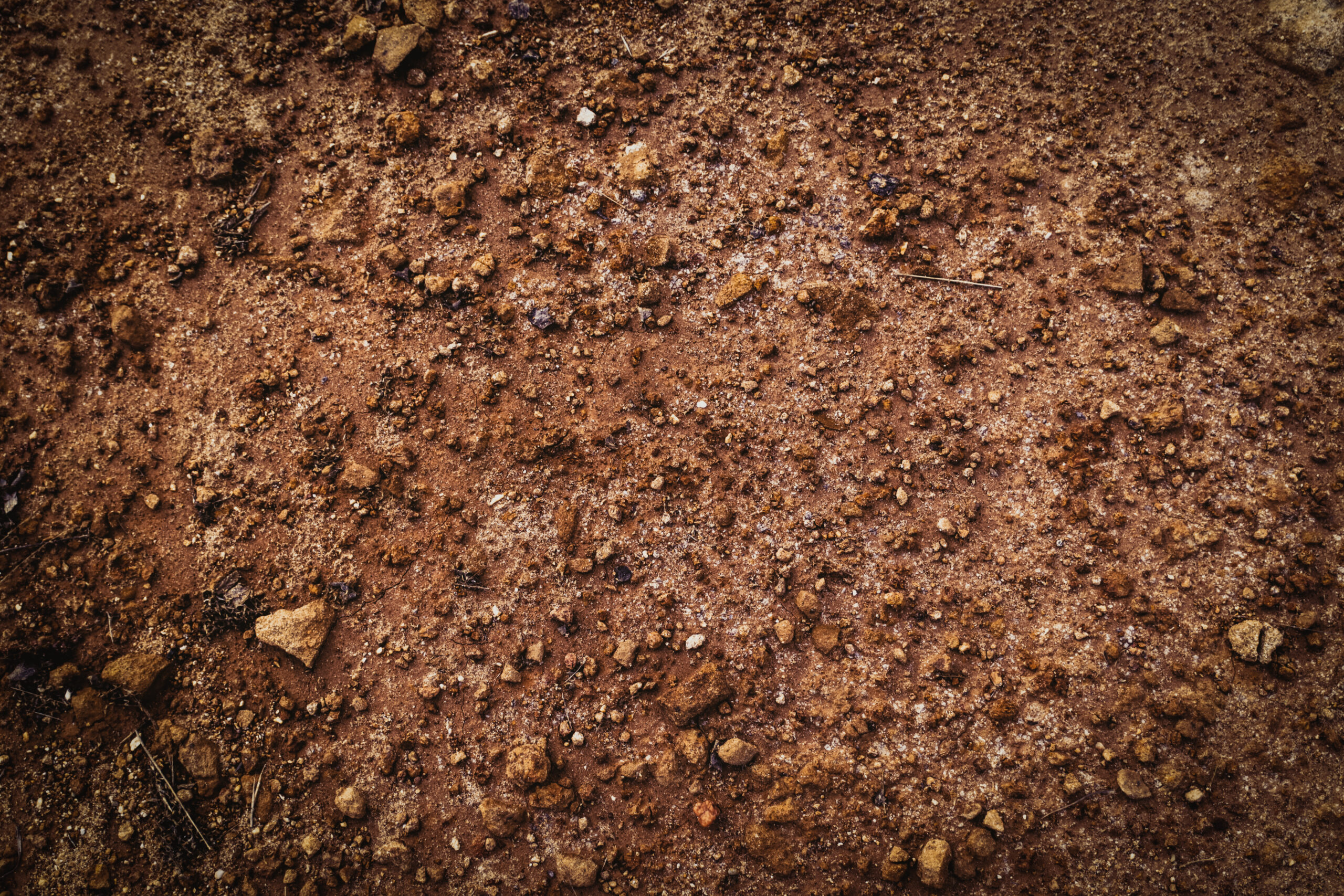 Scientists sterilized soil. It kept breathing for six years.