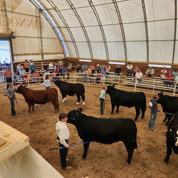 Kids in Bannock County are flocking to 4-H — and barns are running out ...