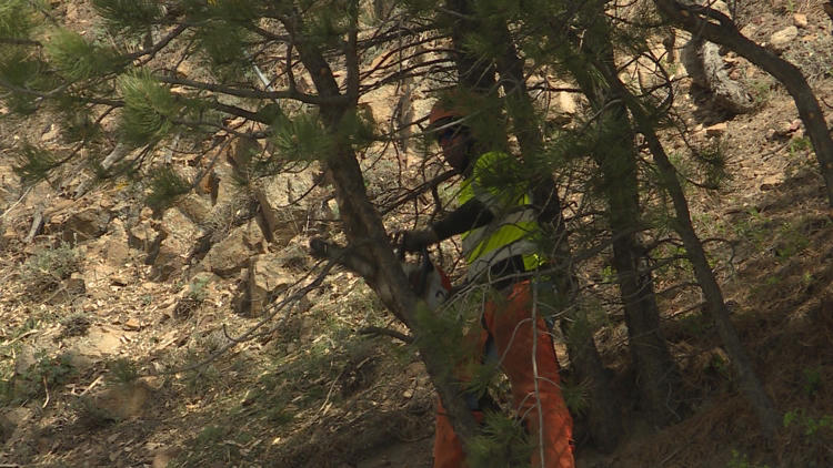 CDOT ramps up fire mitigation work along Colorado mountain corridors ...