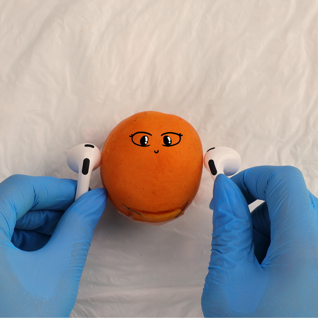 Chirurgie de fruit étonnamment réussie💉🍊
