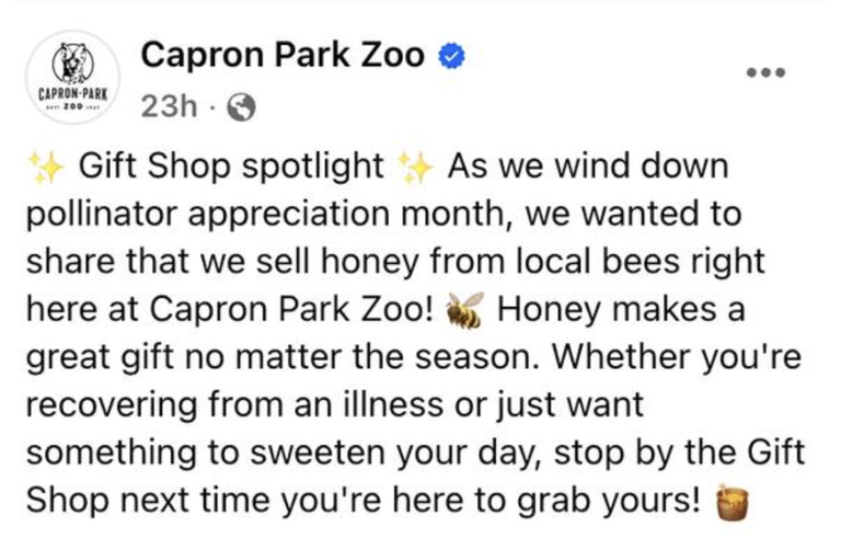 Feeling under the weather? Capron Park Zoo has a surprisingly simple ...