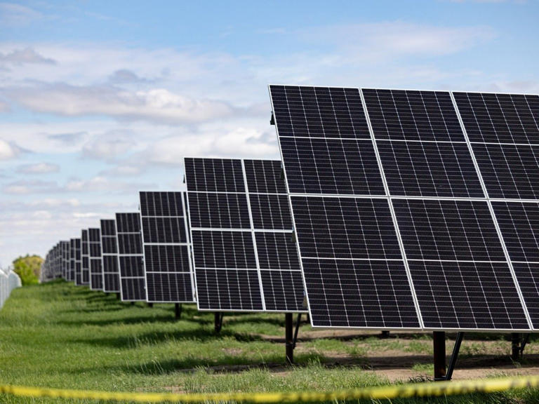 New solar farm starts up in 'bright and sunny' Saskatoon