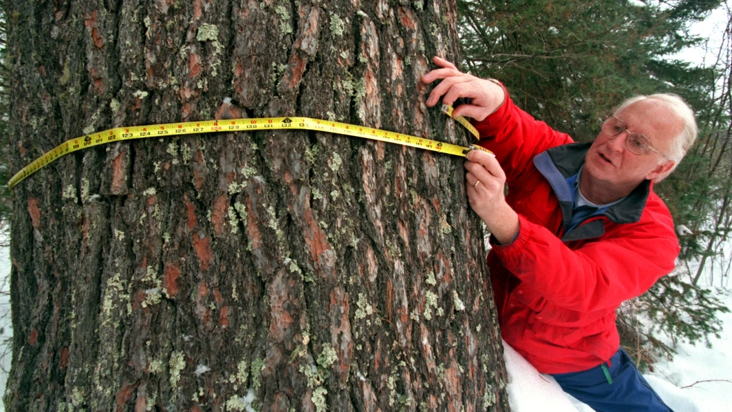 Exploring Minnesota’s historic trails and ancient forests