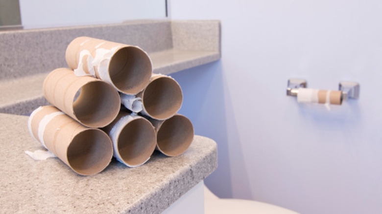 Don't toss toilet paper tubes when you could be using them around the ...