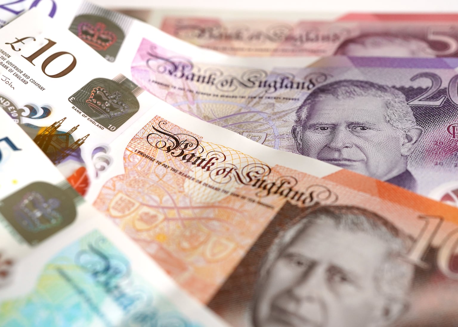 Bank of England reveals which animals could feature on its new-look ...