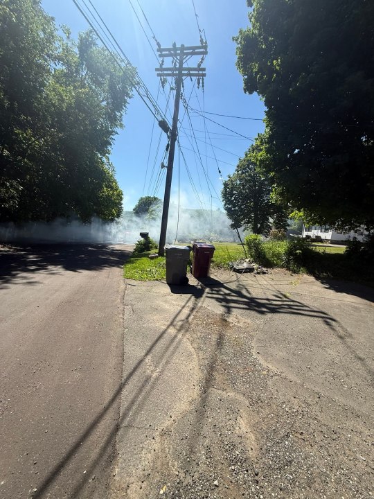 Hundreds without power, animals evacuated after downed wires cause spot ...