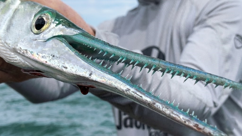Dieser Fisch schoss mit 60 KM/H aus dem Wasser - dann traf er einen ...