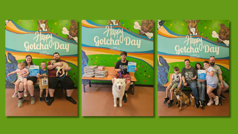 Nearly 80 pets adopted after metro Atlanta 'Empty the Shelters' event