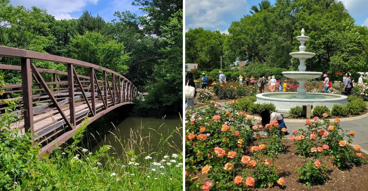 This is one of New Jersey’s most beautiful gardens, and hardly anyone ...