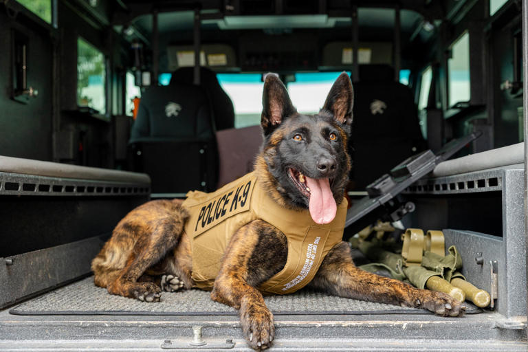 ALEA K9 receives bullet-proof vest from national nonprofit